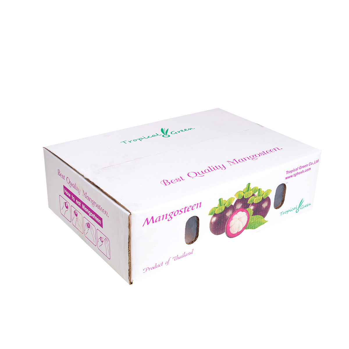 Premium Quality Fresh Mangosteen from Thailand