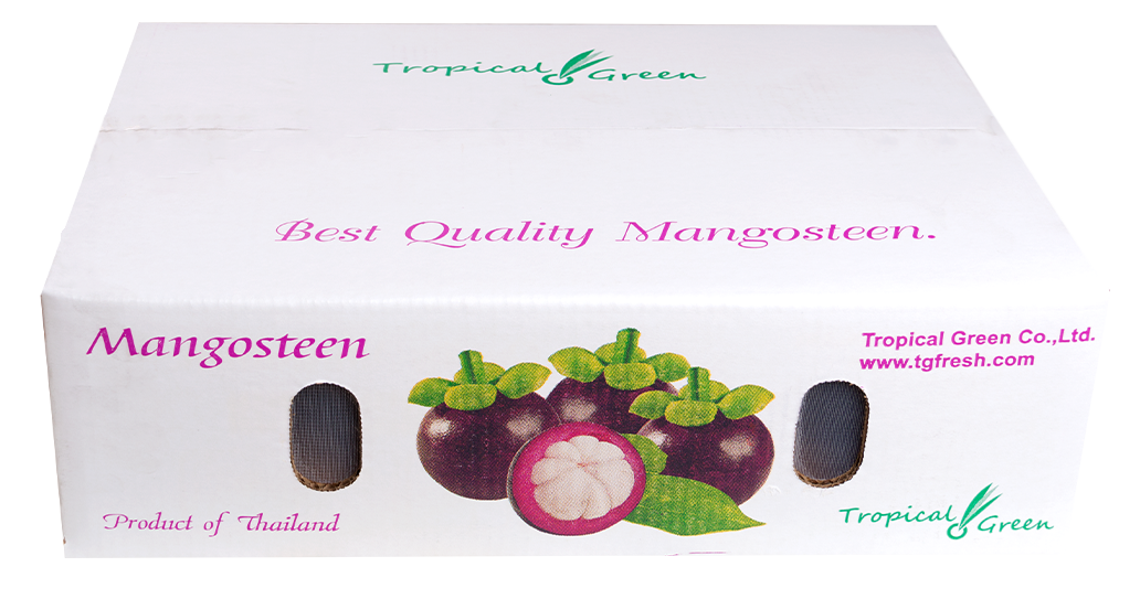 Premium Quality Fresh Mangosteen from Thailand