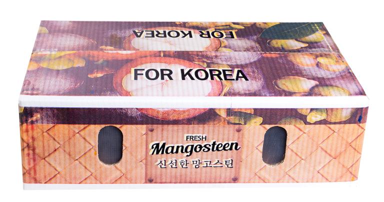 Premium Quality Fresh Mangosteen from Thailand