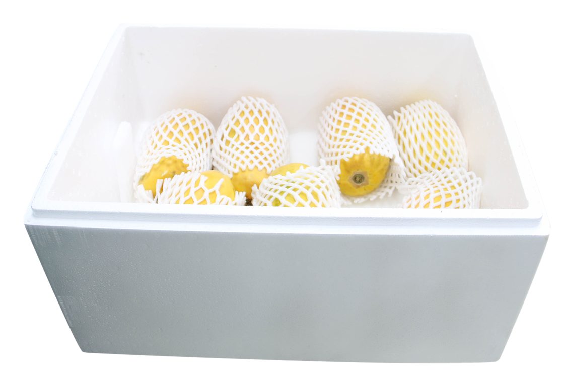 Papaya | Tropical Green